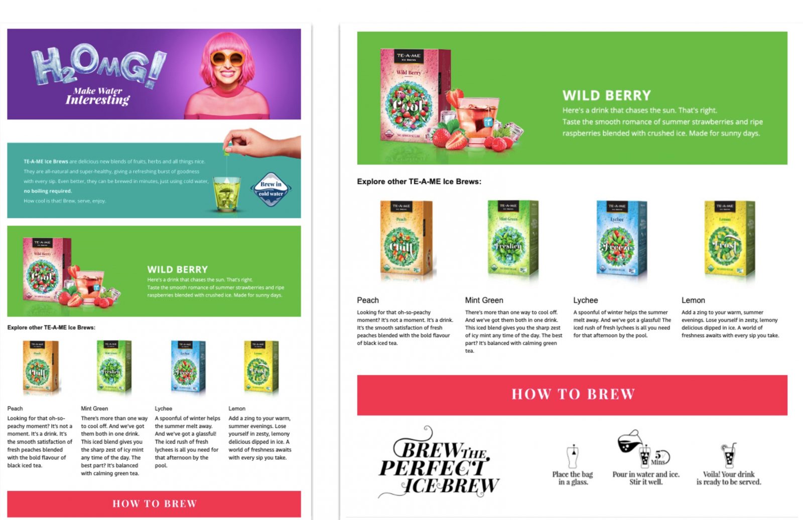 Amazon A+ Plus Content Design Example Template, A Plus Page Design