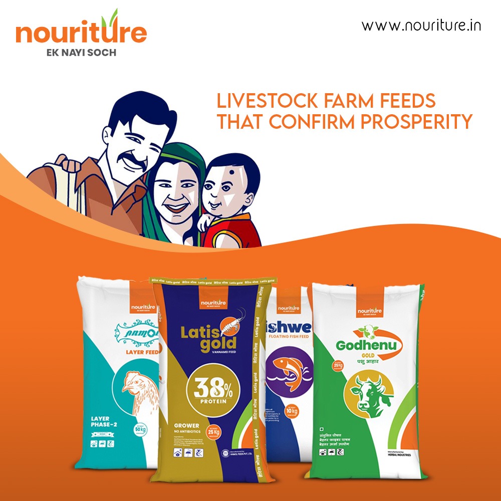 Rural Creative, Communication and Branding Services India